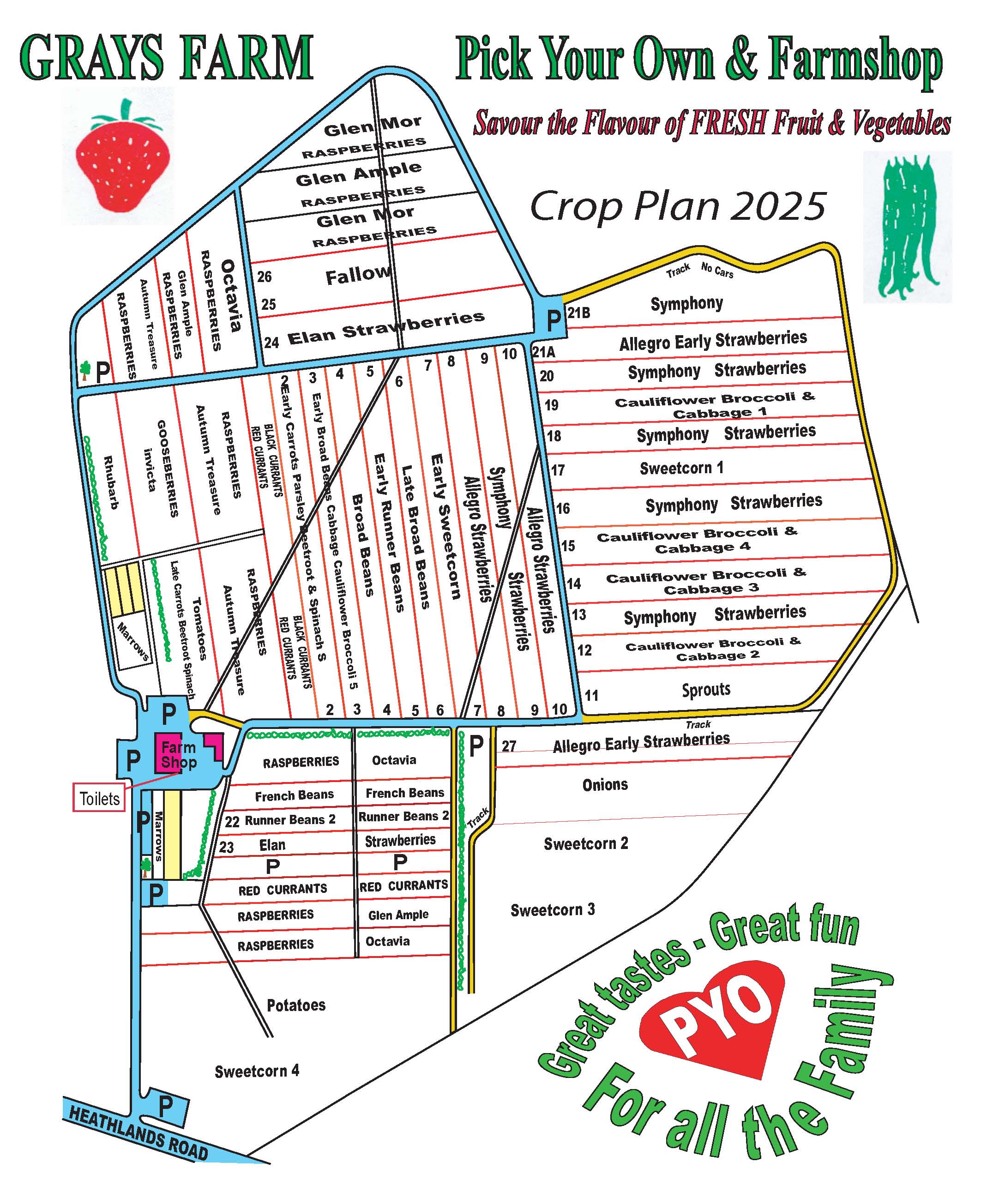 Pick Your Own fruit and veg at GraysFarm and Farm Shop